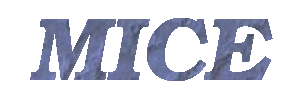 MICEic